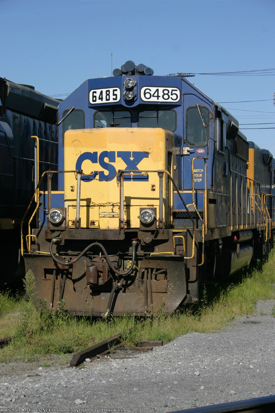 A veteran basking in the sun